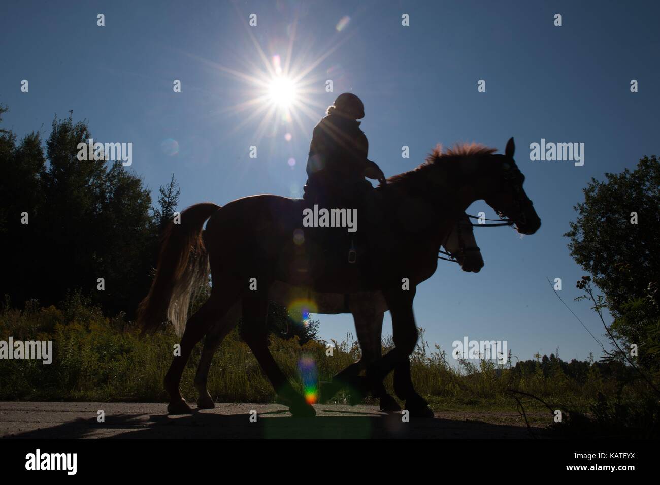 German policemen training hi-res stock photography and images - Alamy