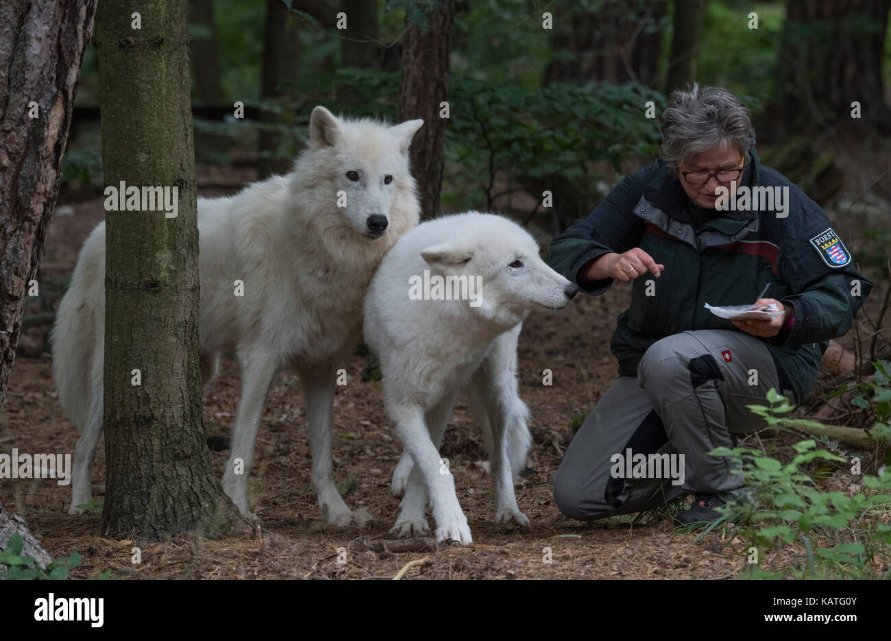 Marion ebel hi-res stock photography and images - Alamy