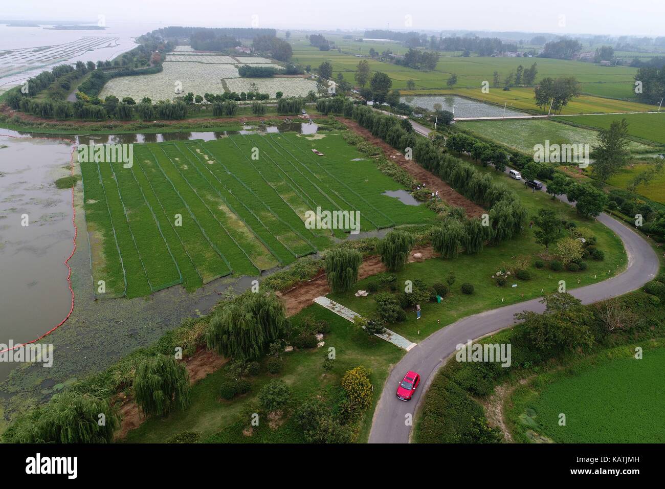 Autumn scenery of Baima Lake Forest Park in Huai'an, east China's ...