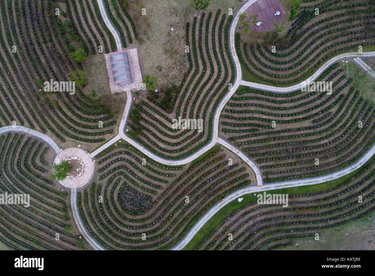 Autumn scenery of Baima Lake Forest Park in Huai'an, east China's ...