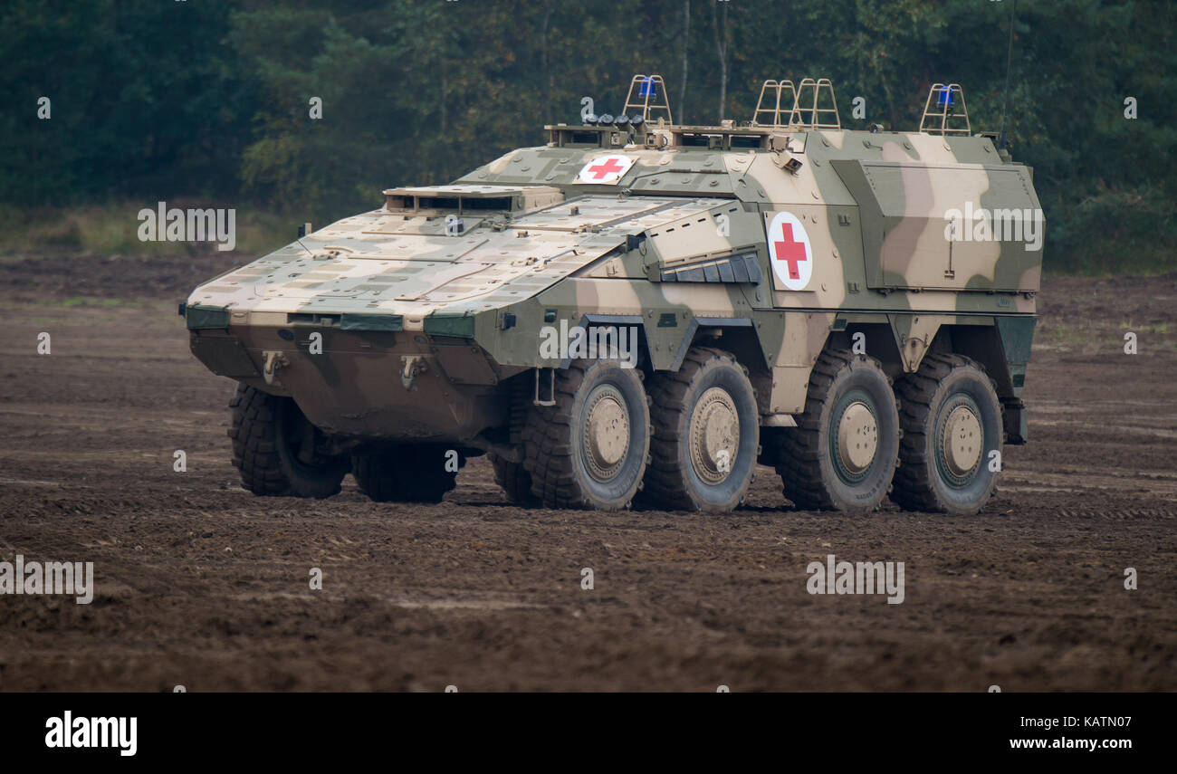 Munster, Germany. 25th Sep, 2017. A "GTK Boxer" light wheeled tank ...