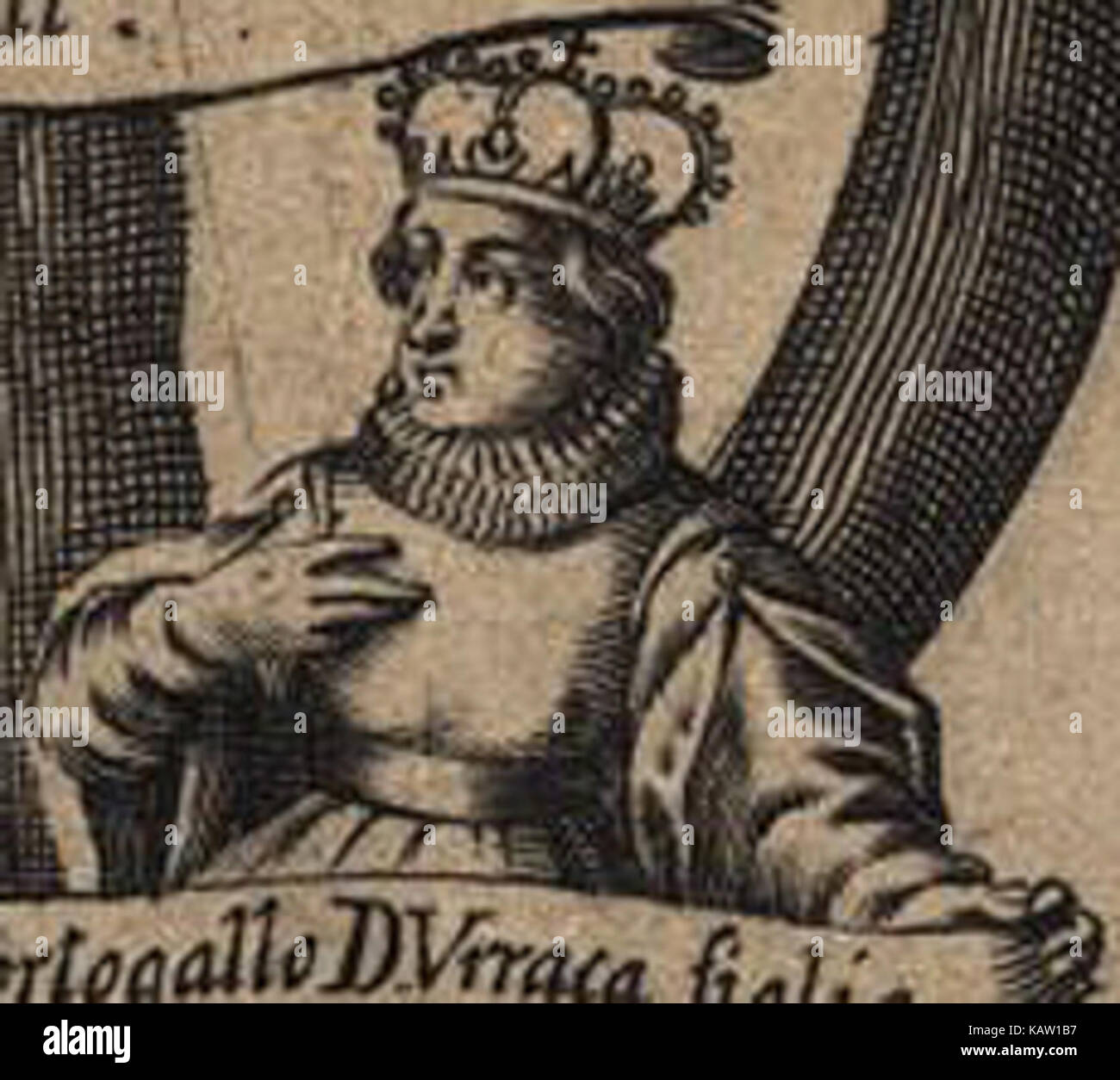 Urraca de Castela Stock Photo - Alamy