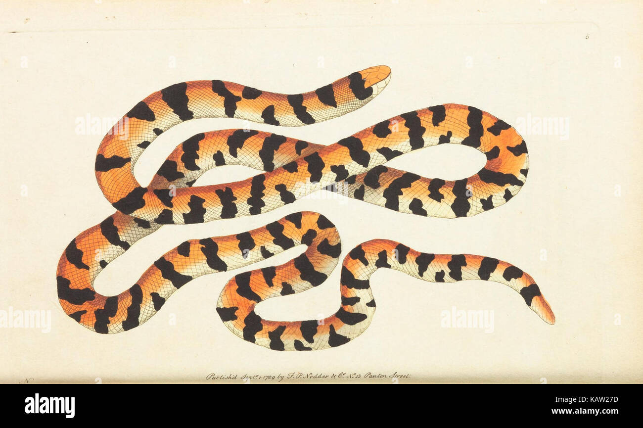 The naturalist's miscellany, or Coloured figures of natural objects ...