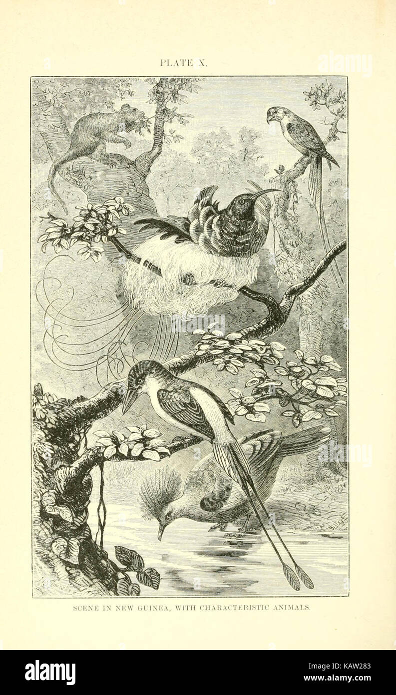 Animal geography hi-res stock photography and images - Alamy