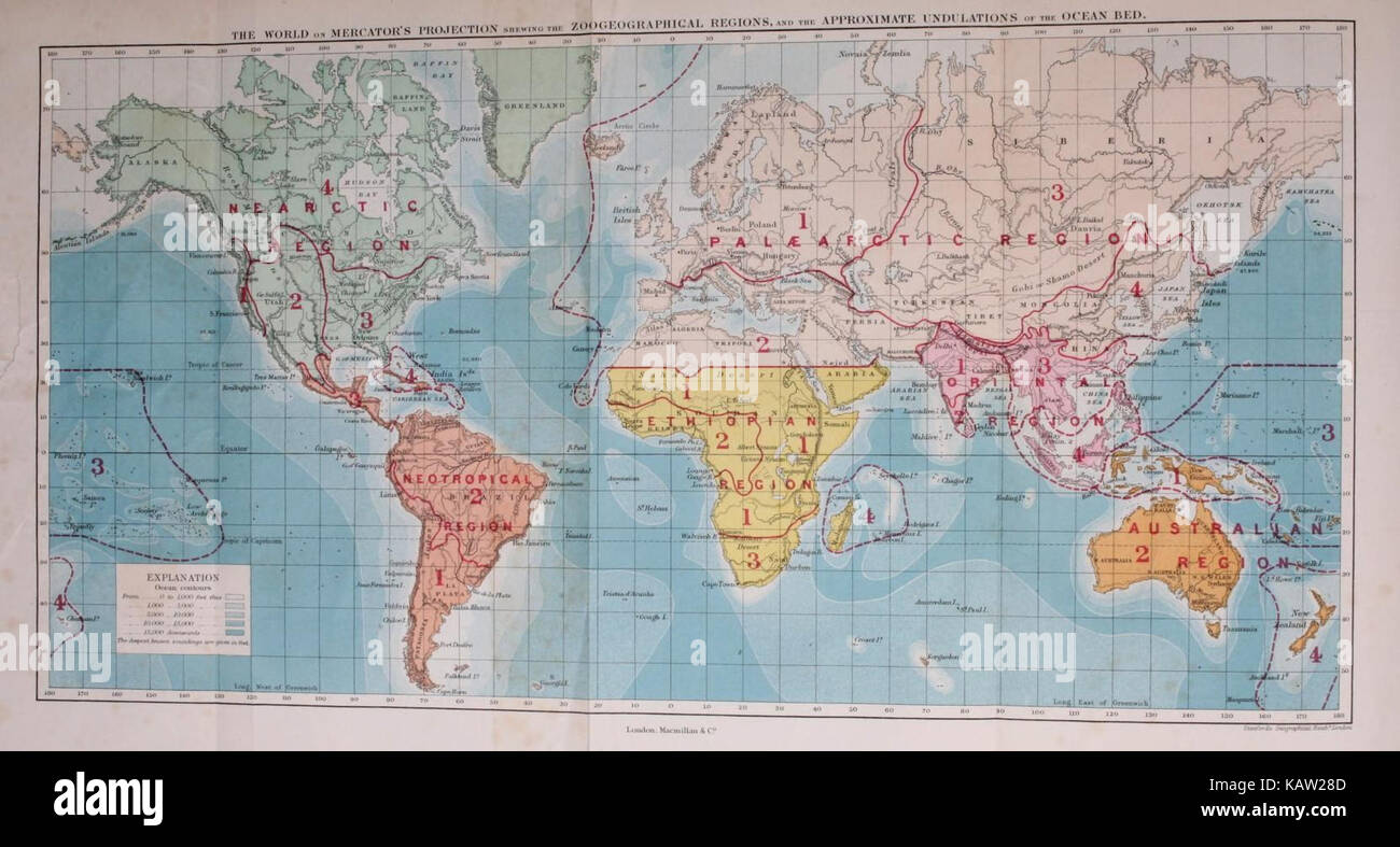 The geographical distribution of animals (8446854899 Stock Photo - Alamy