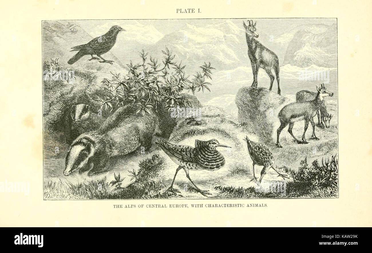 This historical illustration depicts the geographical distribution of ...
