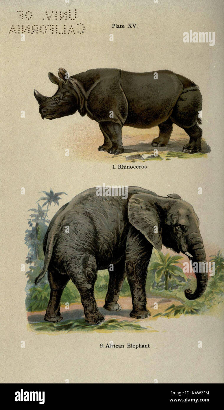 The handy natural history (Coloured Plate XV) (5984801743 Stock Photo ...