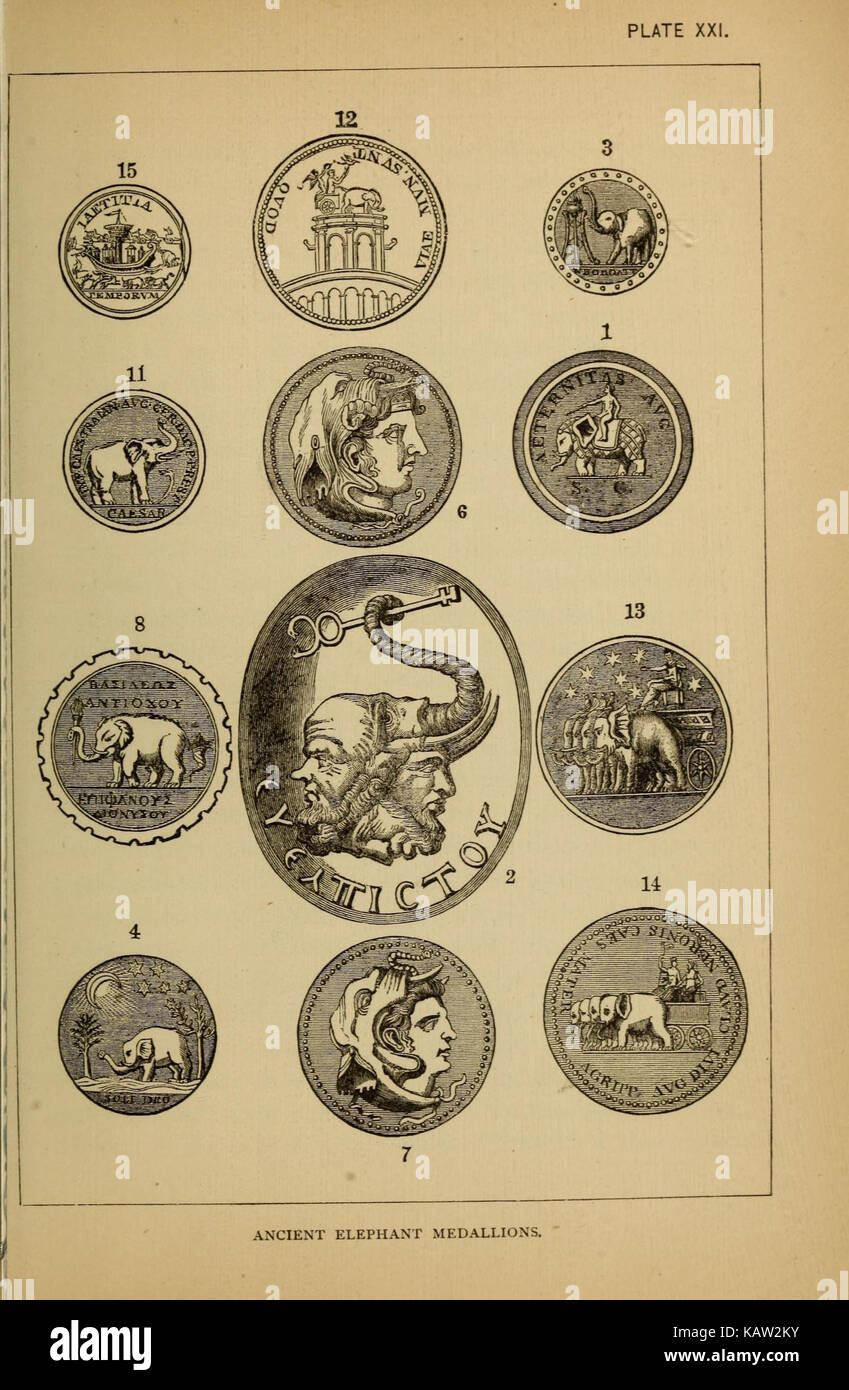 King plate hi-res stock photography and images - Alamy