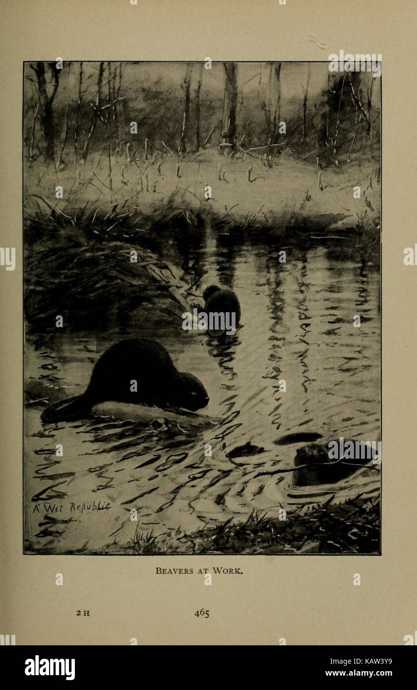 This page from 'The Life of Animals' provides detailed illustrations ...