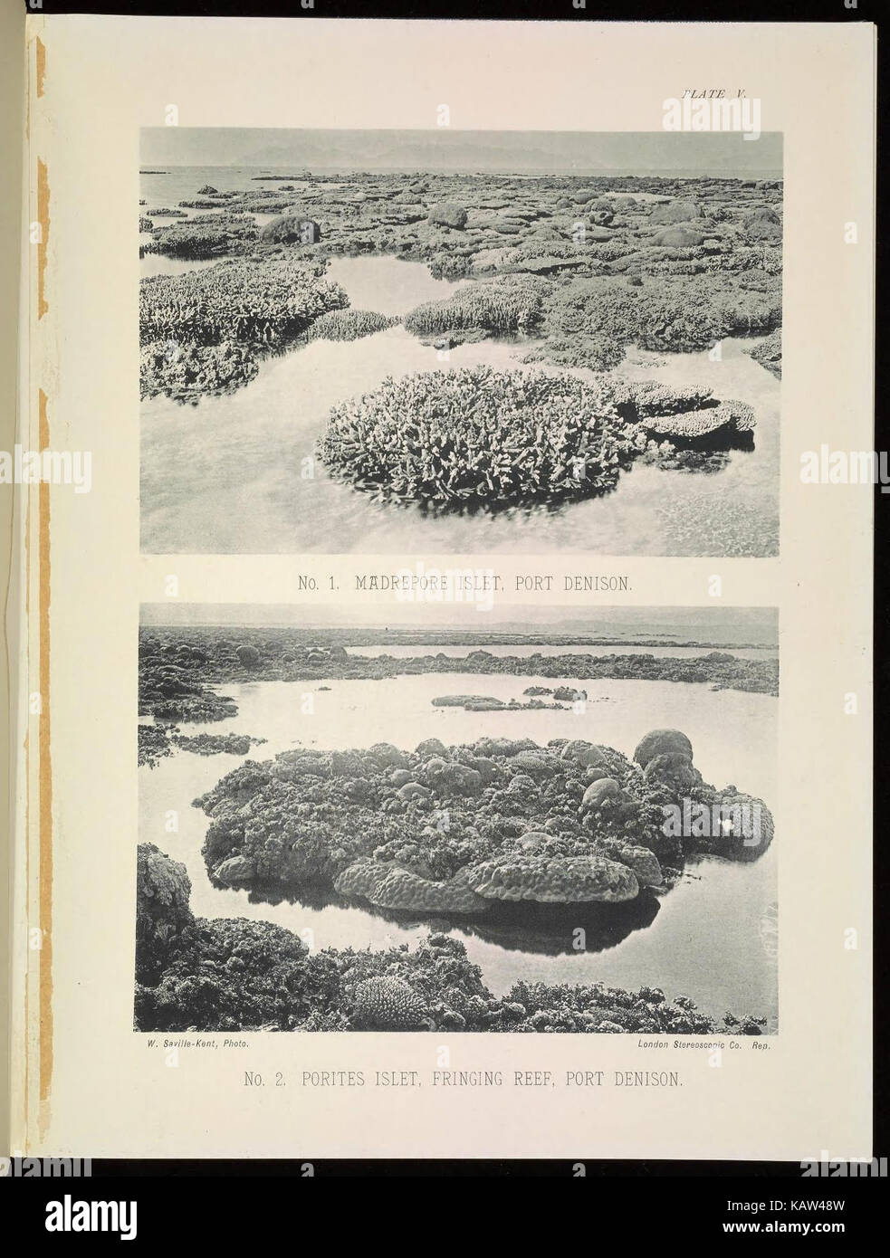 The Great Barrier Reef of Australia (PLATE V) (7044658323 Stock Photo ...