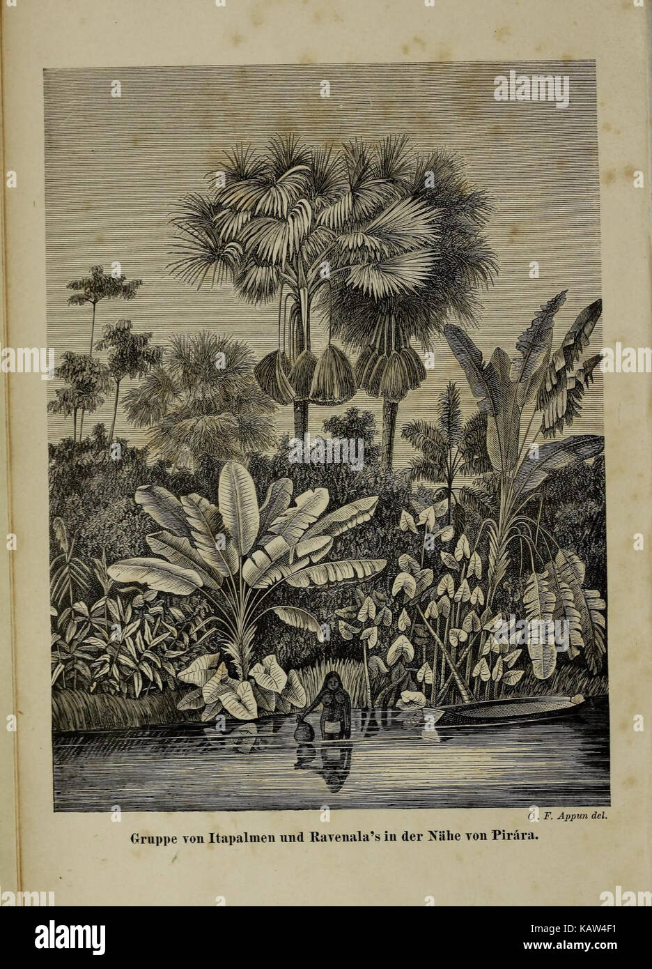 Harvard libraries hi-res stock photography and images - Alamy