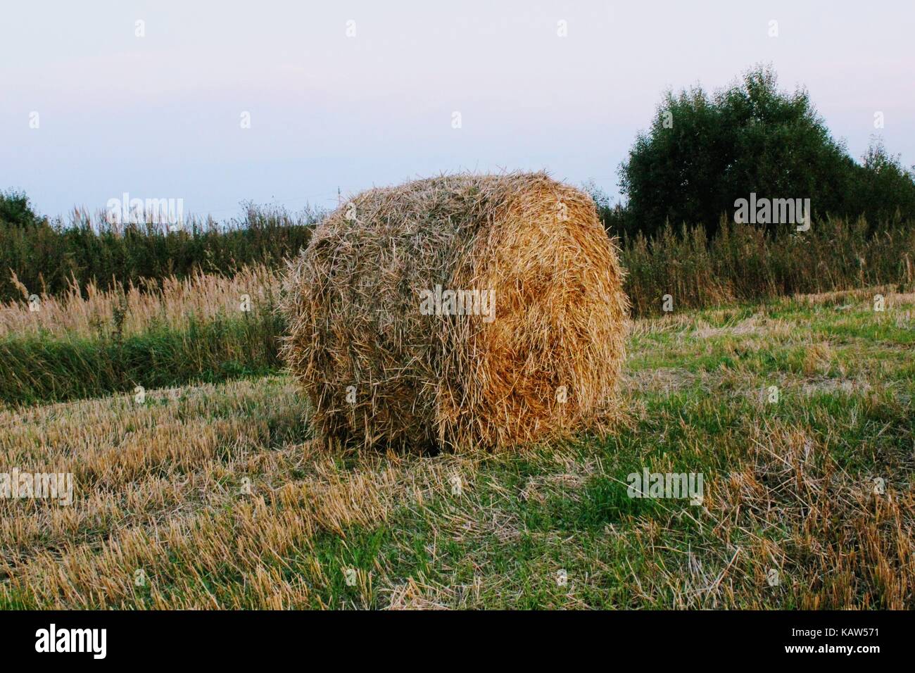 Hay bale ball hi-res stock photography and images - Alamy