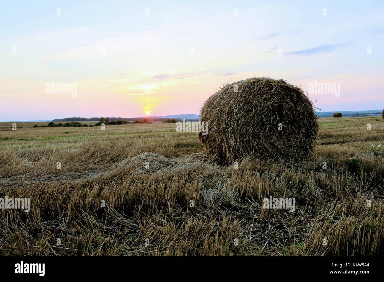 Hay bale ball hi-res stock photography and images - Alamy