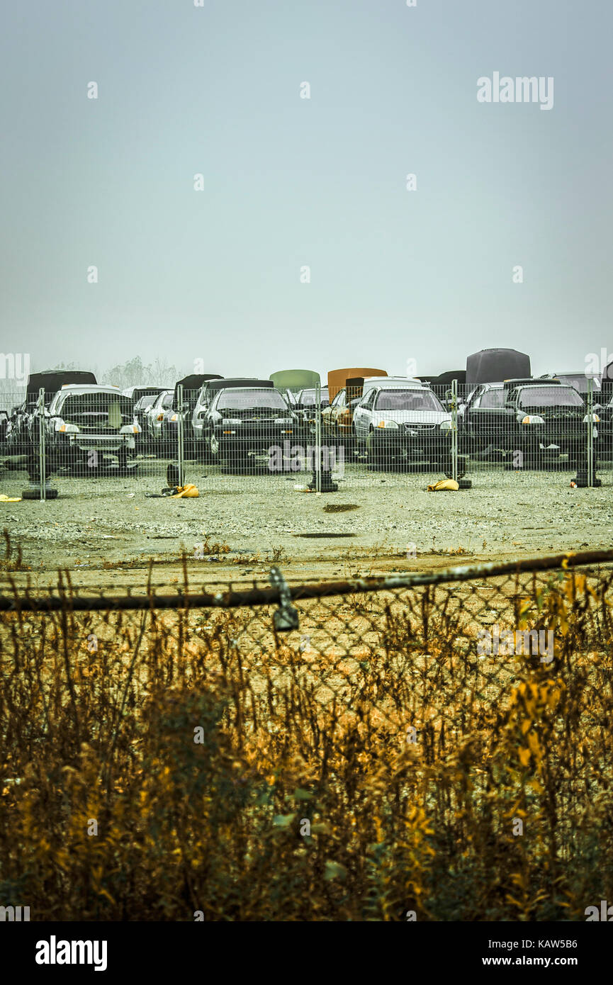 Auto scrap yard in Hamilton, Ontario Stock Photo - Alamy
