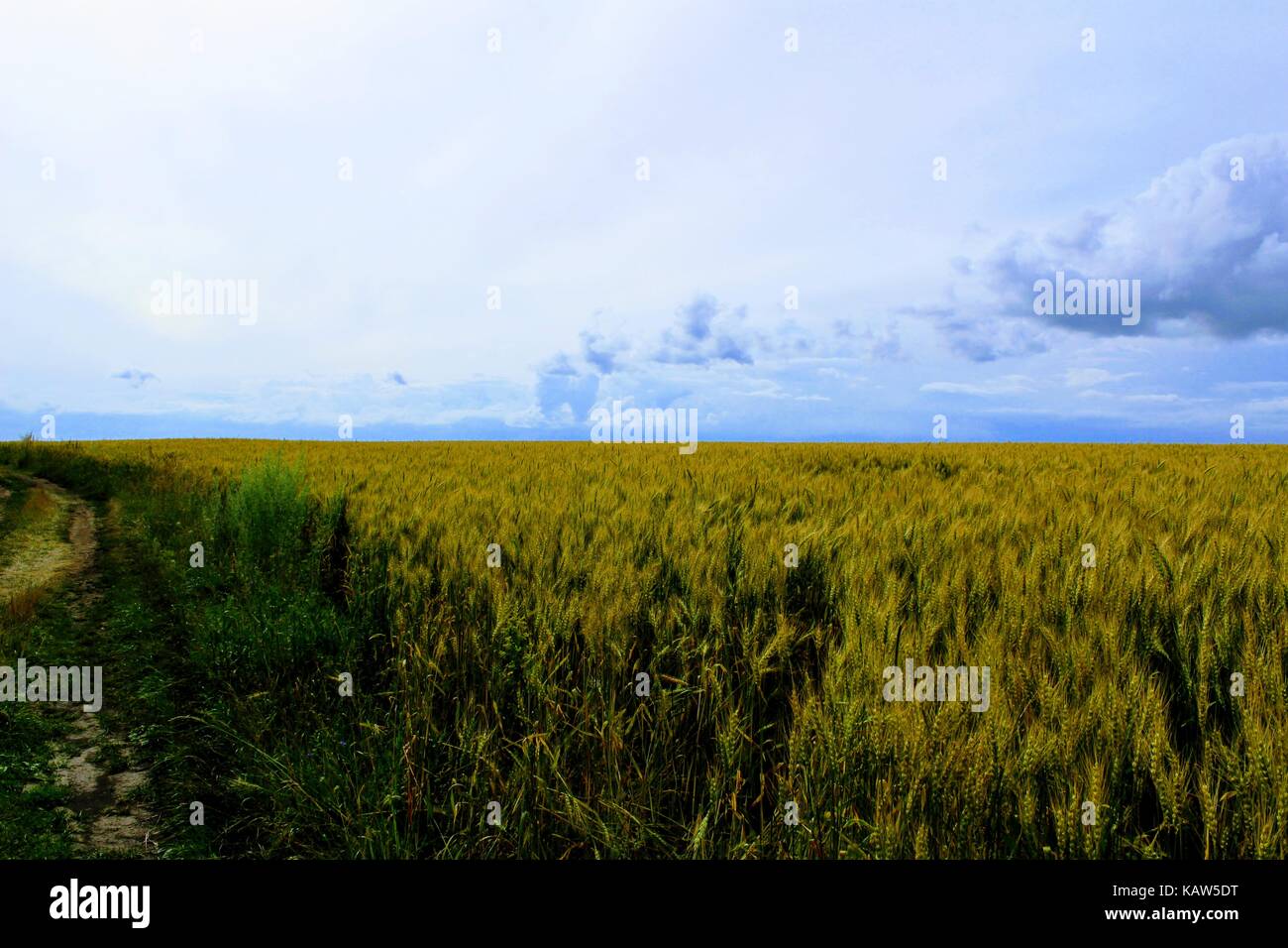 Boundless field hi-res stock photography and images - Alamy