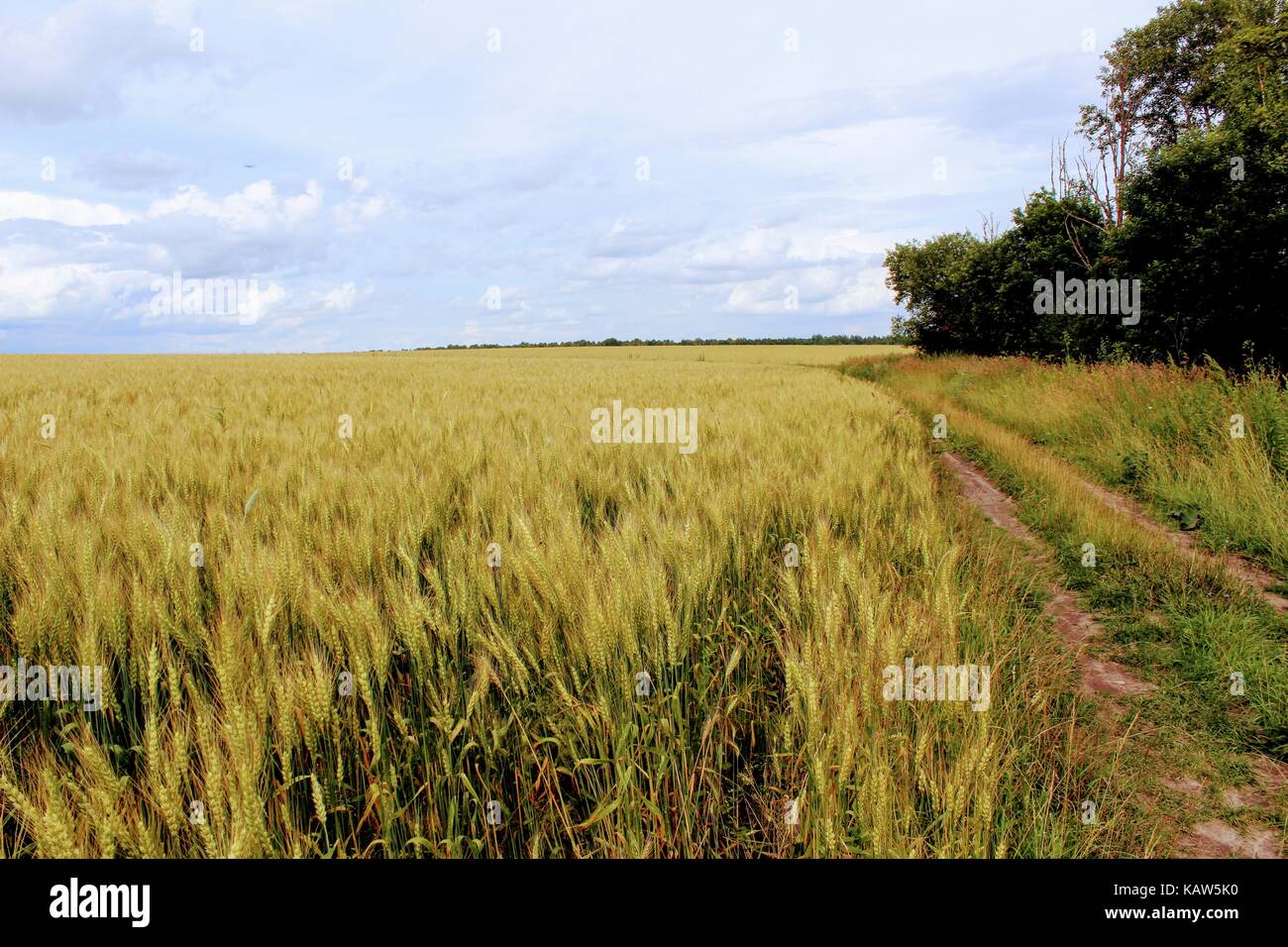 Boundless field hi-res stock photography and images - Alamy