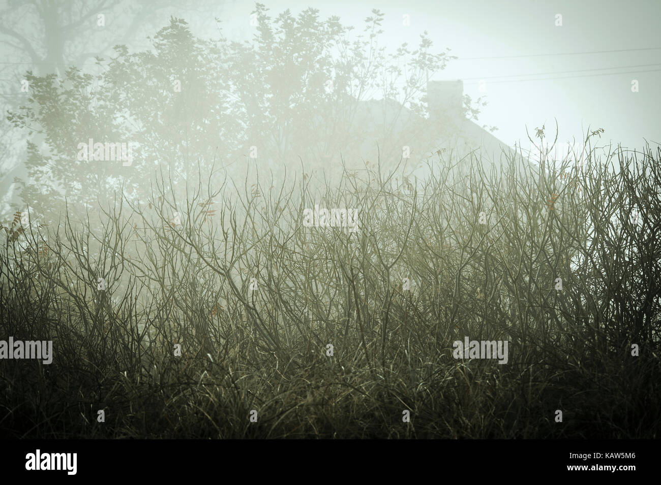 House in the mist Stock Photo - Alamy