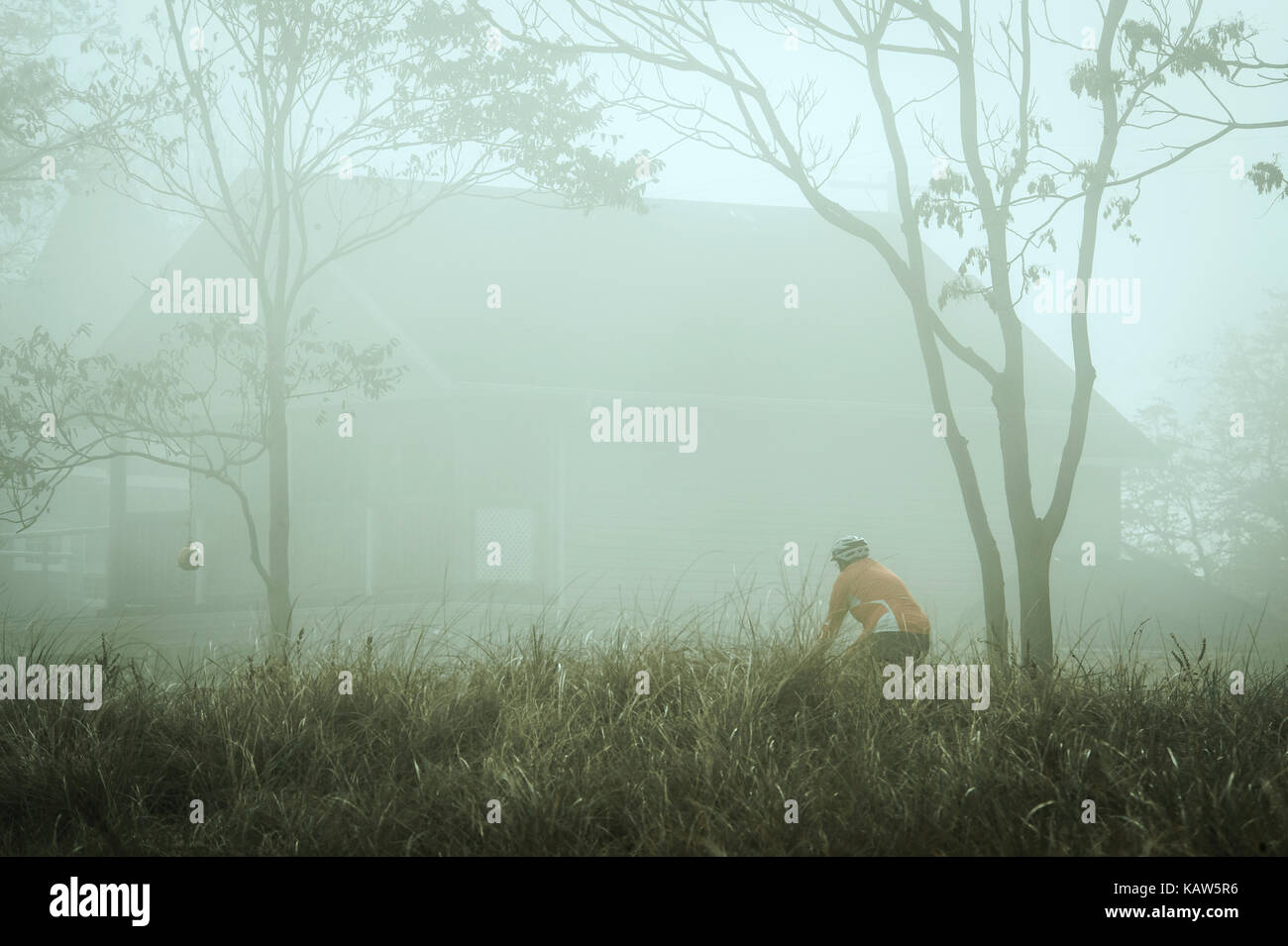 House in the mist Stock Photo - Alamy