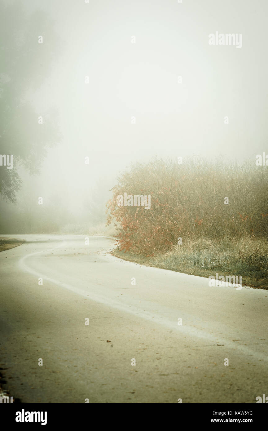 country road in the fog Stock Photo - Alamy