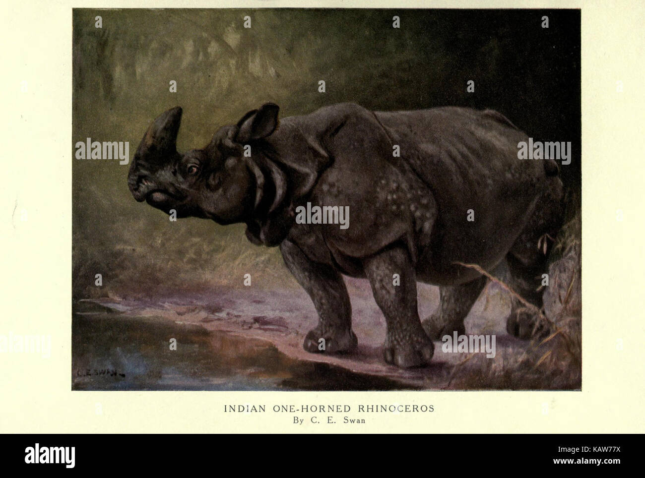 This illustration from 'The Wild Beasts of the World' depicts various ...