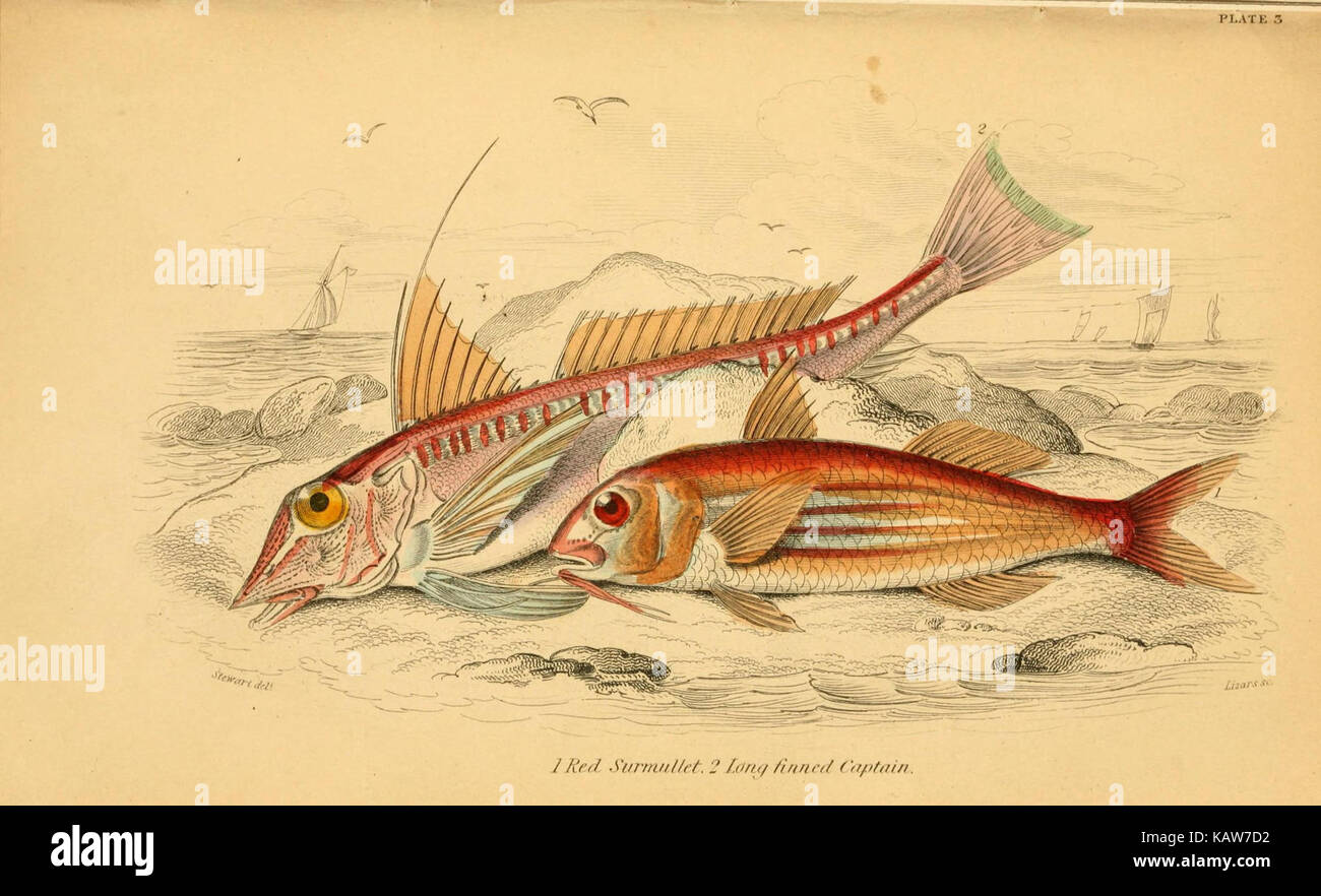 'The Natural History of British Fishes' is a detailed study and ...