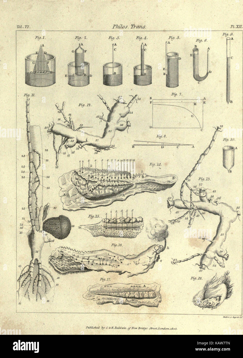 Royal society london 1665 hi-res stock photography and images - Alamy