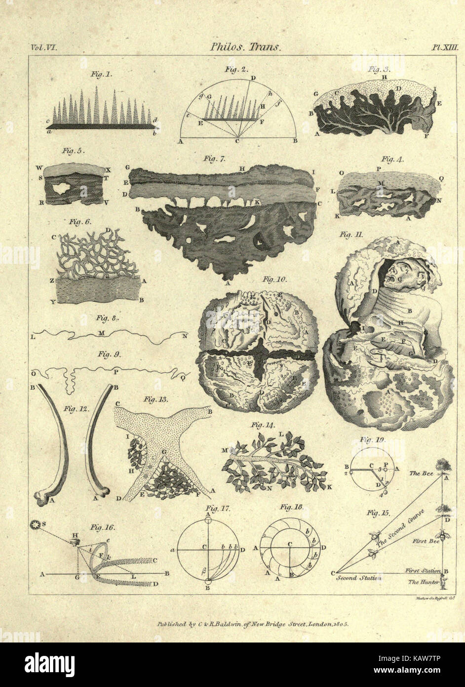 London 1665 map hi-res stock photography and images - Alamy
