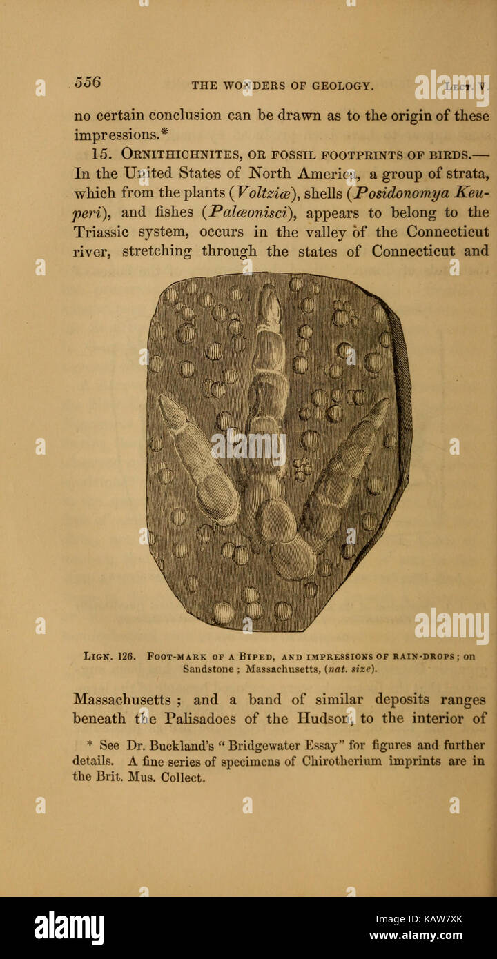 The wonders of geology; or A familiar exposition of geological ...