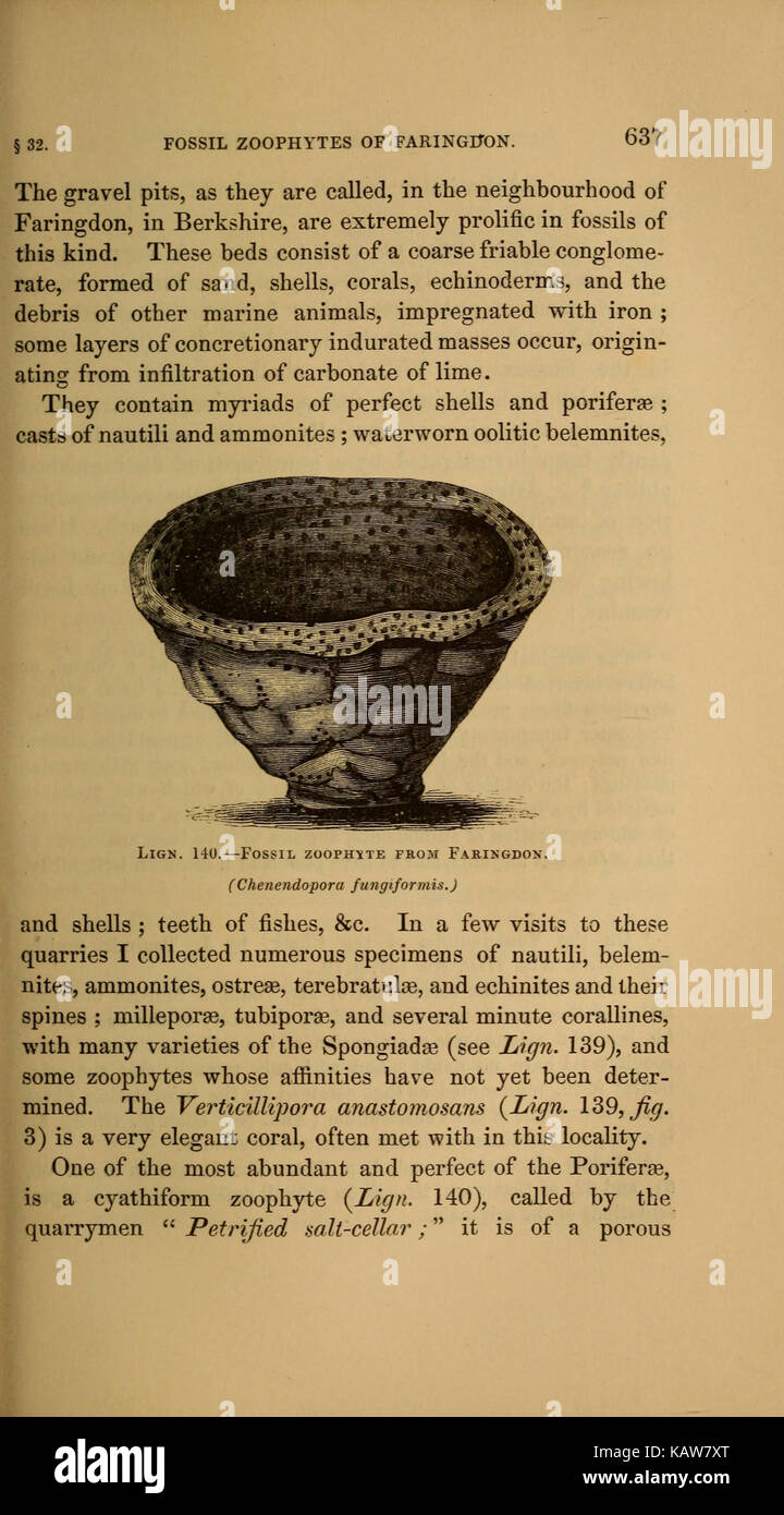 The wonders of geology; or A familiar exposition of geological ...