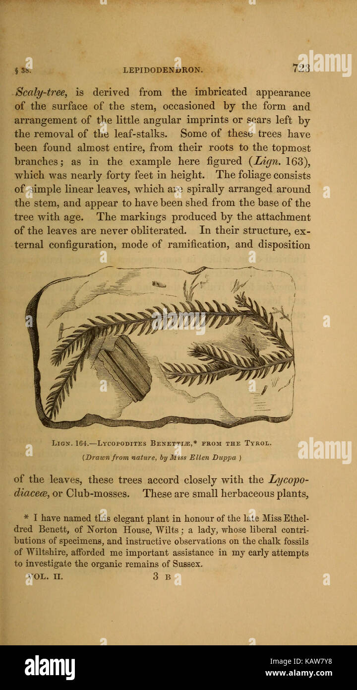 The wonders of geology; or A familiar exposition of geological ...