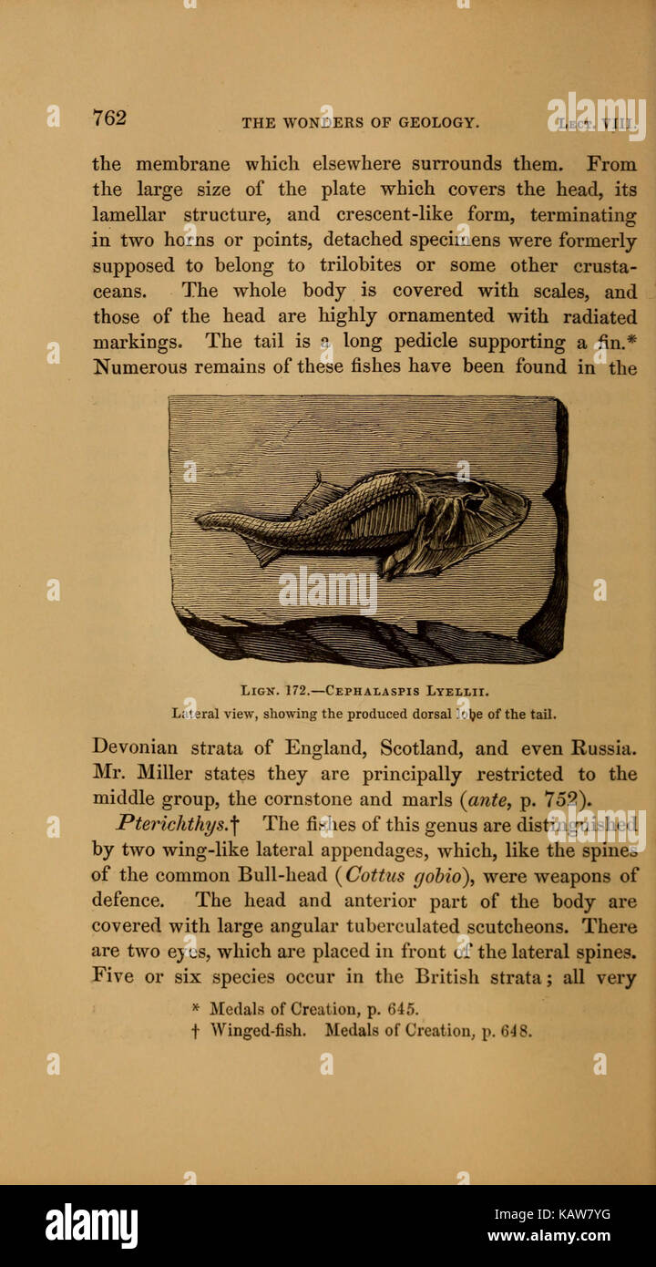 A detailed exploration of geological phenomena, discussing various ...