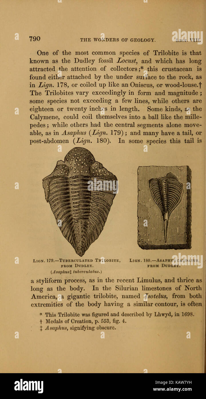 The wonders of geology; or A familiar exposition of geological ...