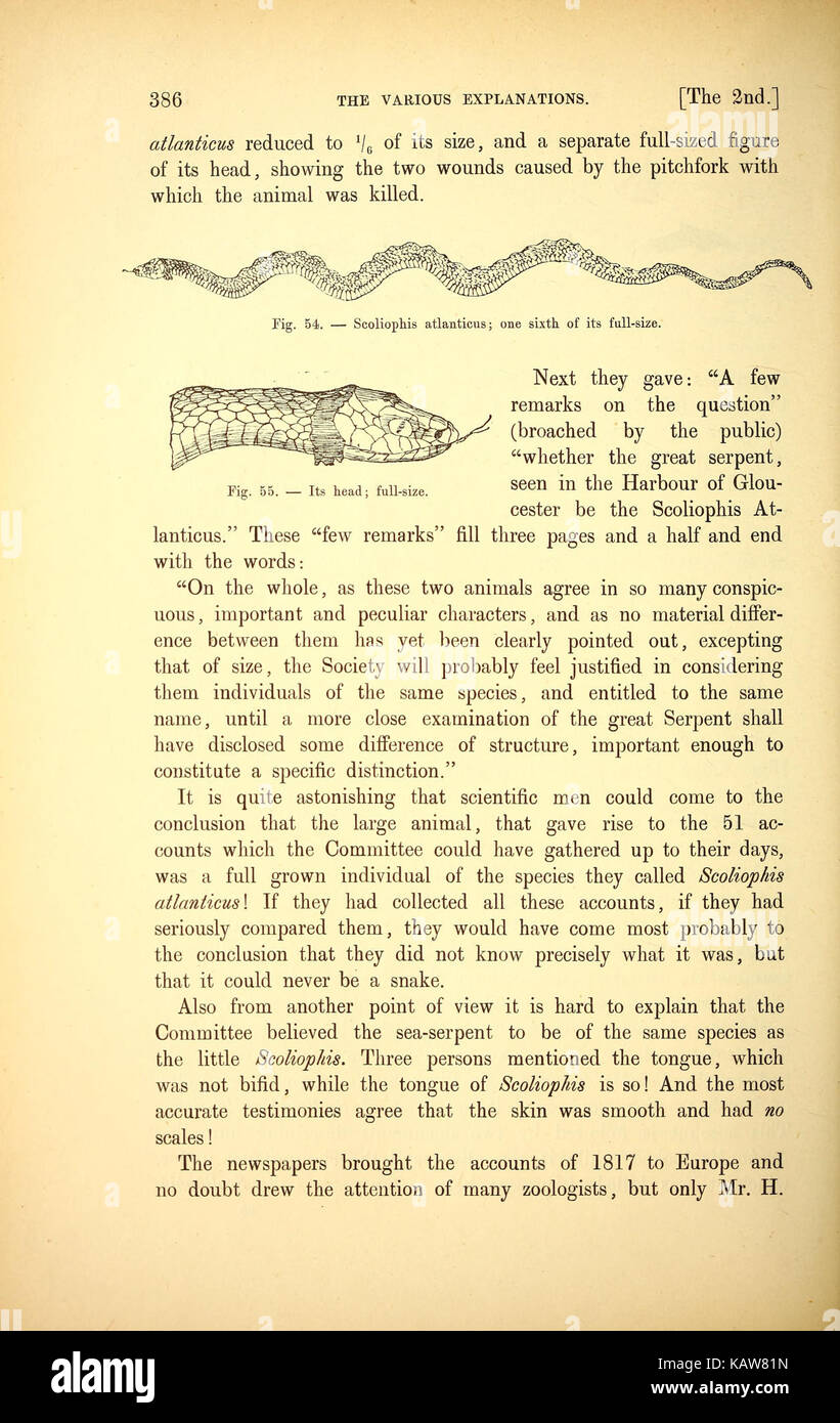 This page features an illustration of the mythical sea serpent, a ...