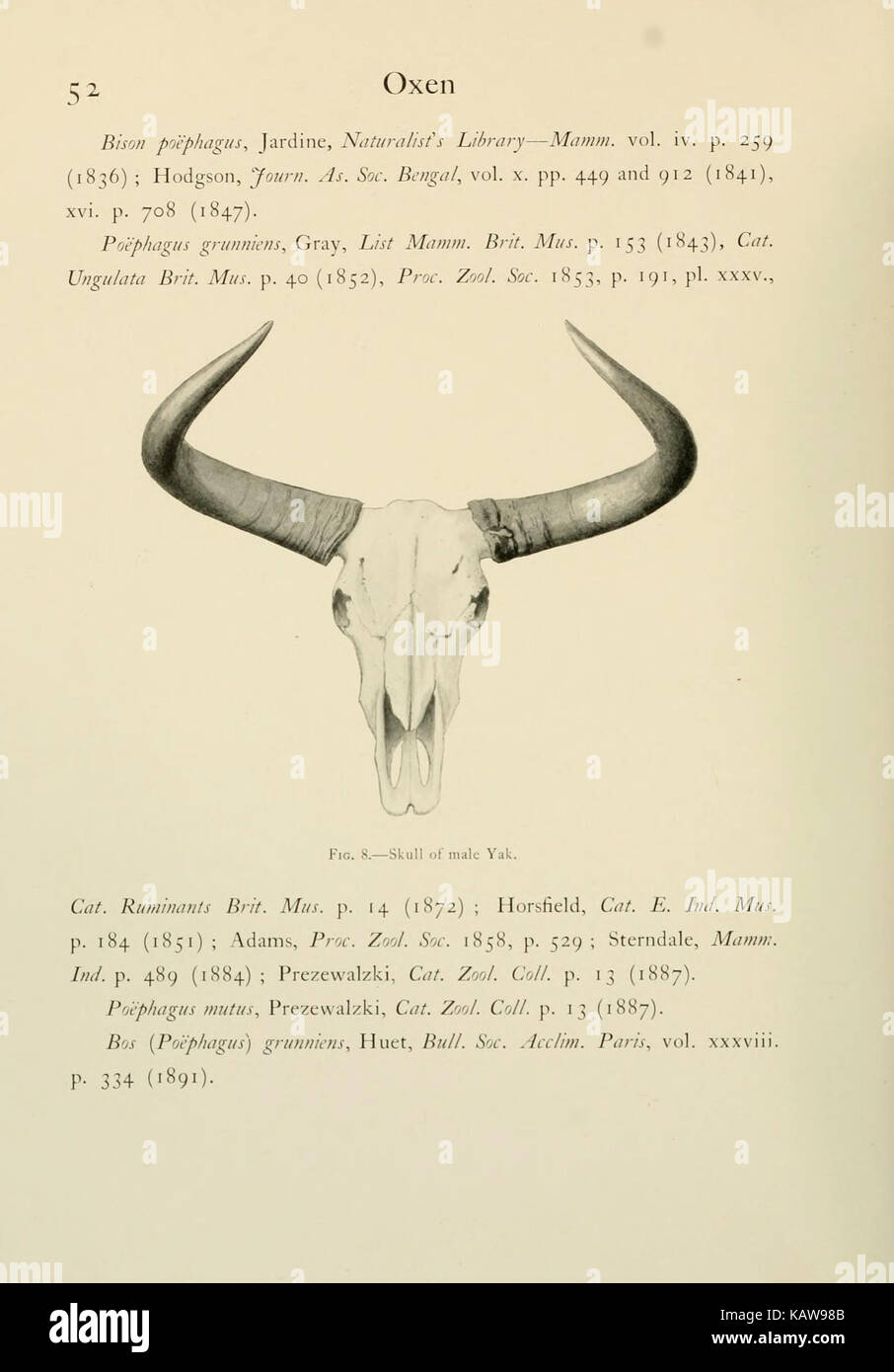 Wild oxen, sheep and goats of all lands, living and extinct (Page 52 ...