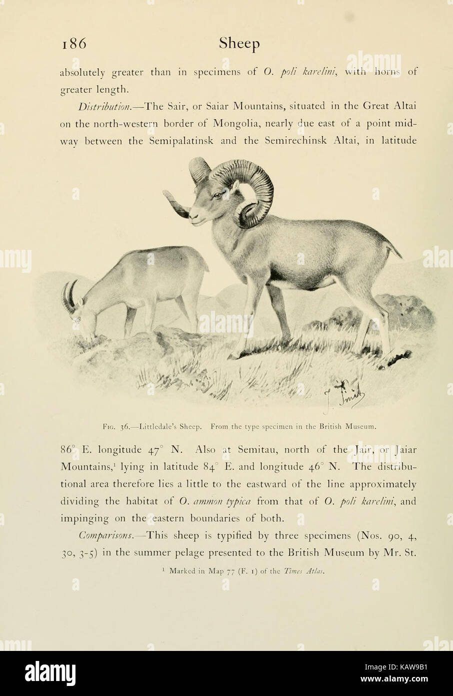 Extinct animal chart hi-res stock photography and images - Alamy