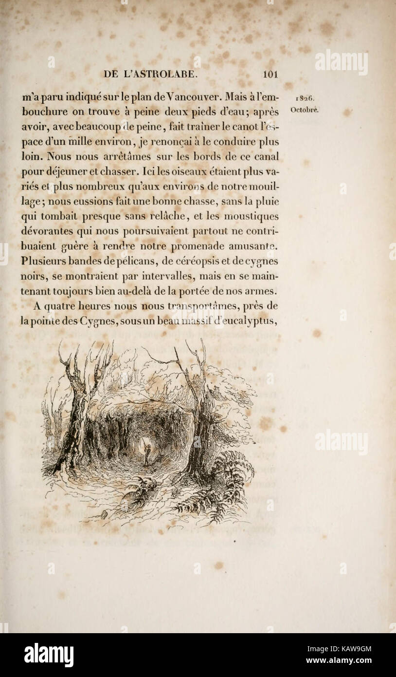 *Voyage de la corvette l'Astrolabe* is a historical account of the ...