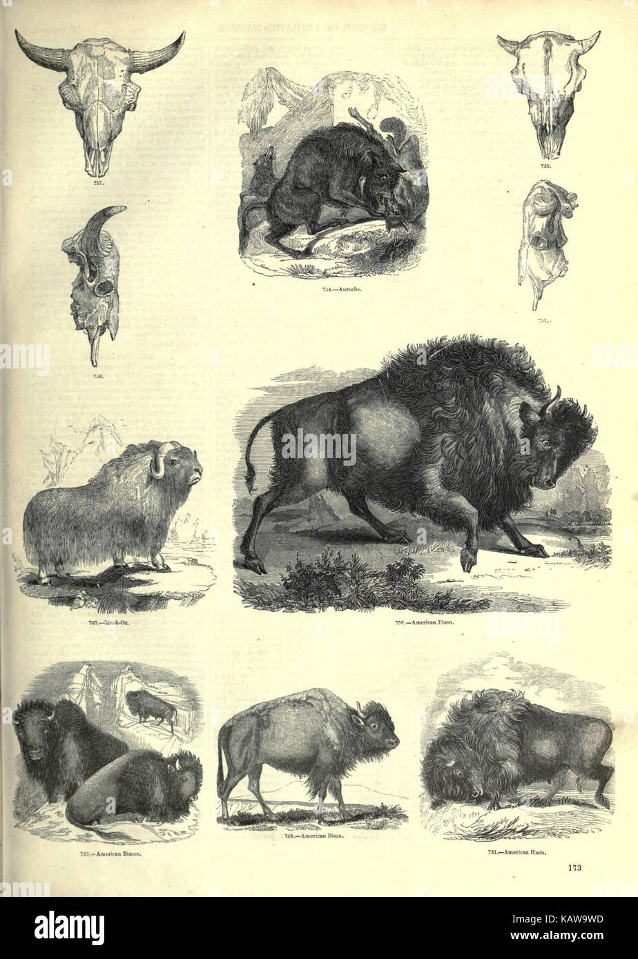 This illustration from *The Pictorial Museum of Animated Nature ...