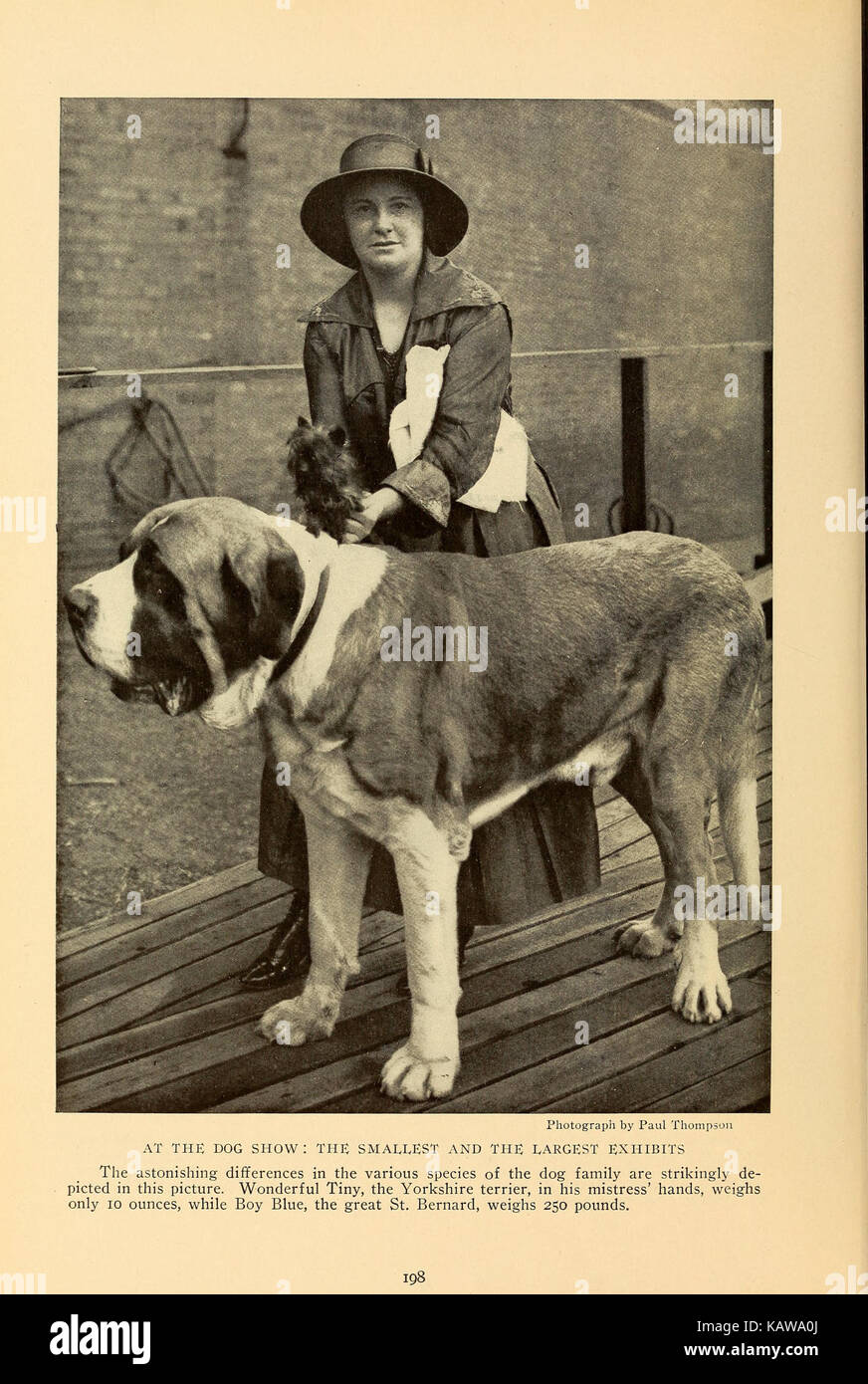Old national geographic magazine cover hi-res stock photography and ...