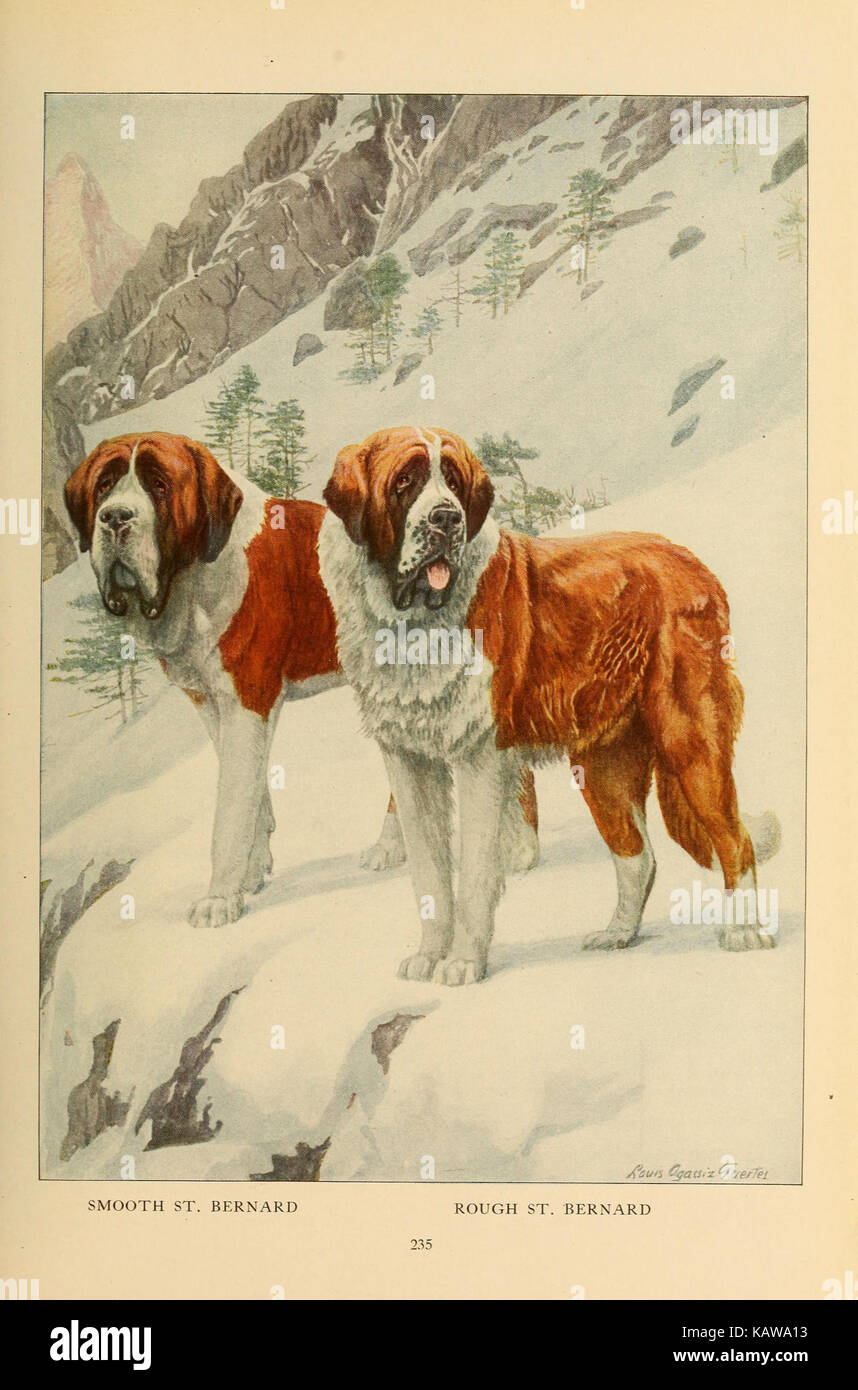 Old national geographic magazine cover hi-res stock photography and ...