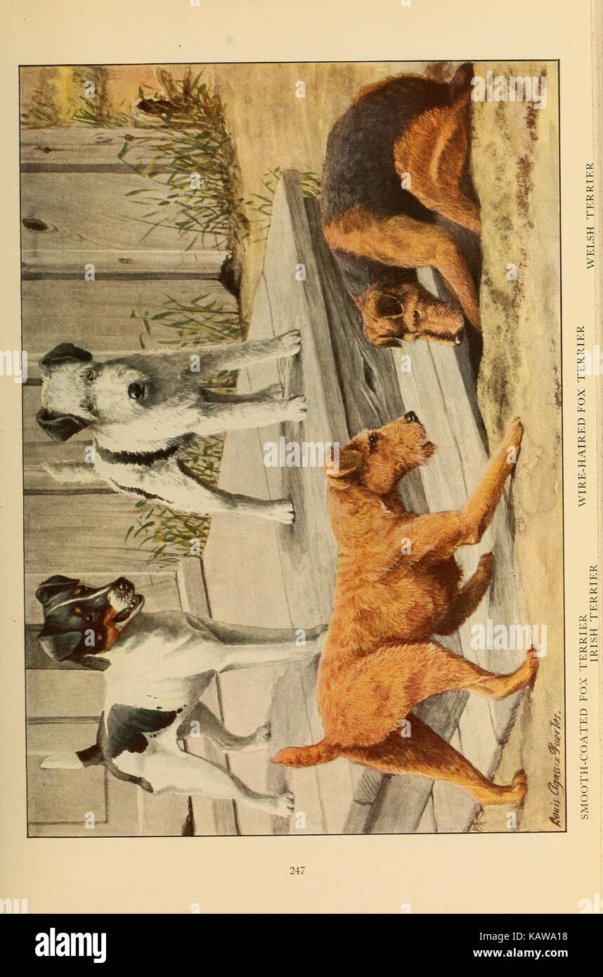 The National Geographic Magazine, known for its detailed articles on ...