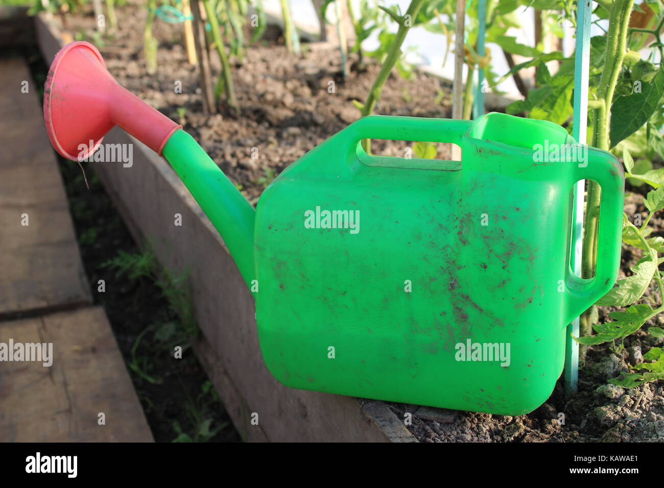Ordinary light plastic watering can of green color for watering plants ...