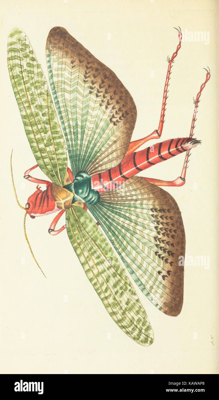 'The Naturalist's Miscellany' is a book featuring colored illustrations ...