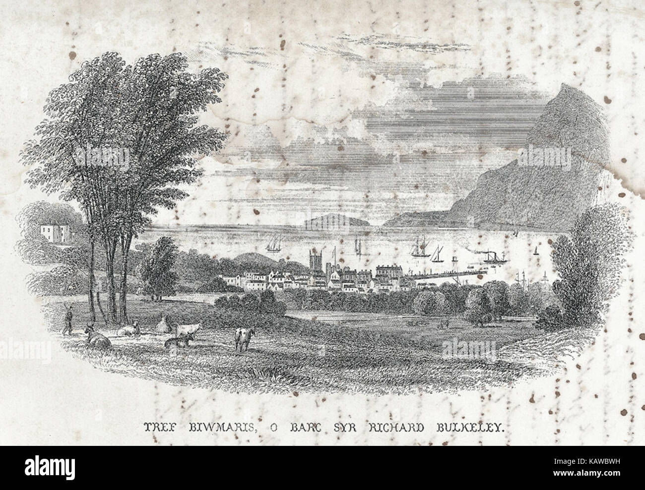 Richard bulkeley hi-res stock photography and images - Alamy