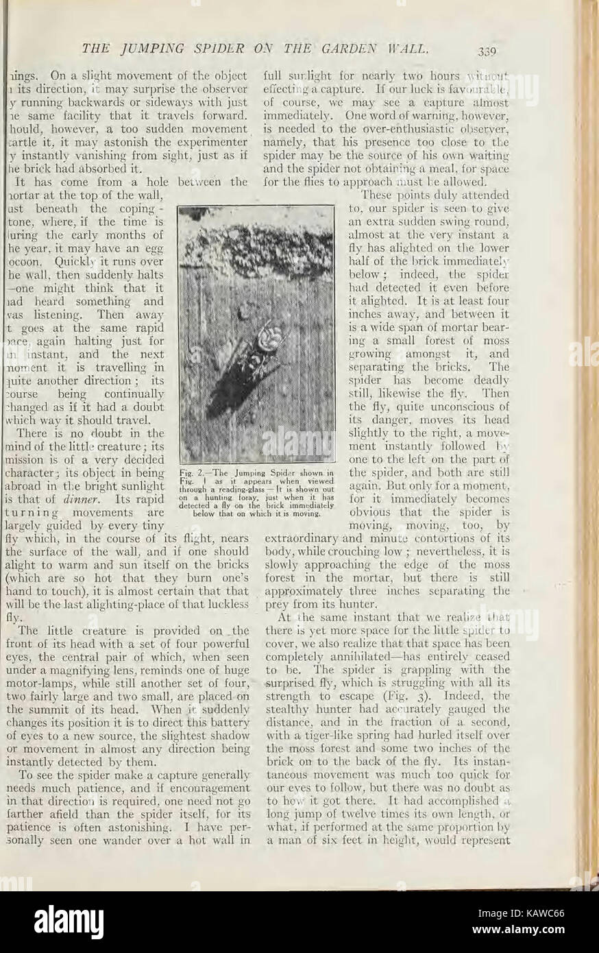 To the South Pole. Captain Scott's own story told from his journals ...