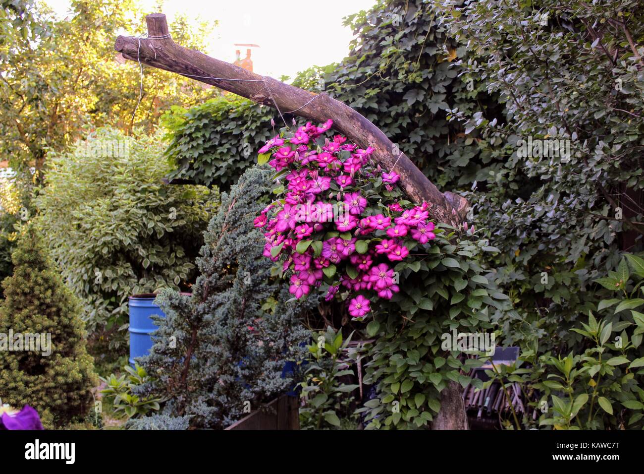Flowers tied to tree hi-res stock photography and images - Alamy