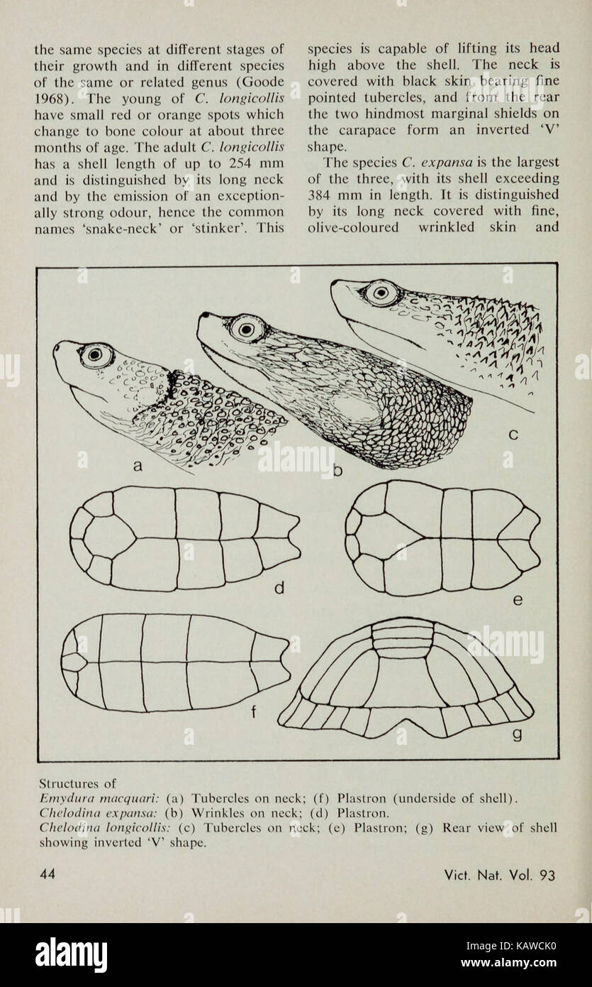 This page from 'The Victorian Naturalist' explores scientific topics ...
