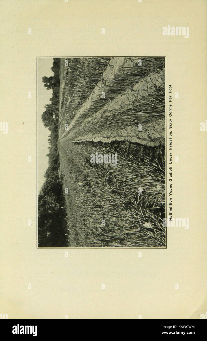 Map Of Wilmore High Resolution Stock Photography and Images - Alamy