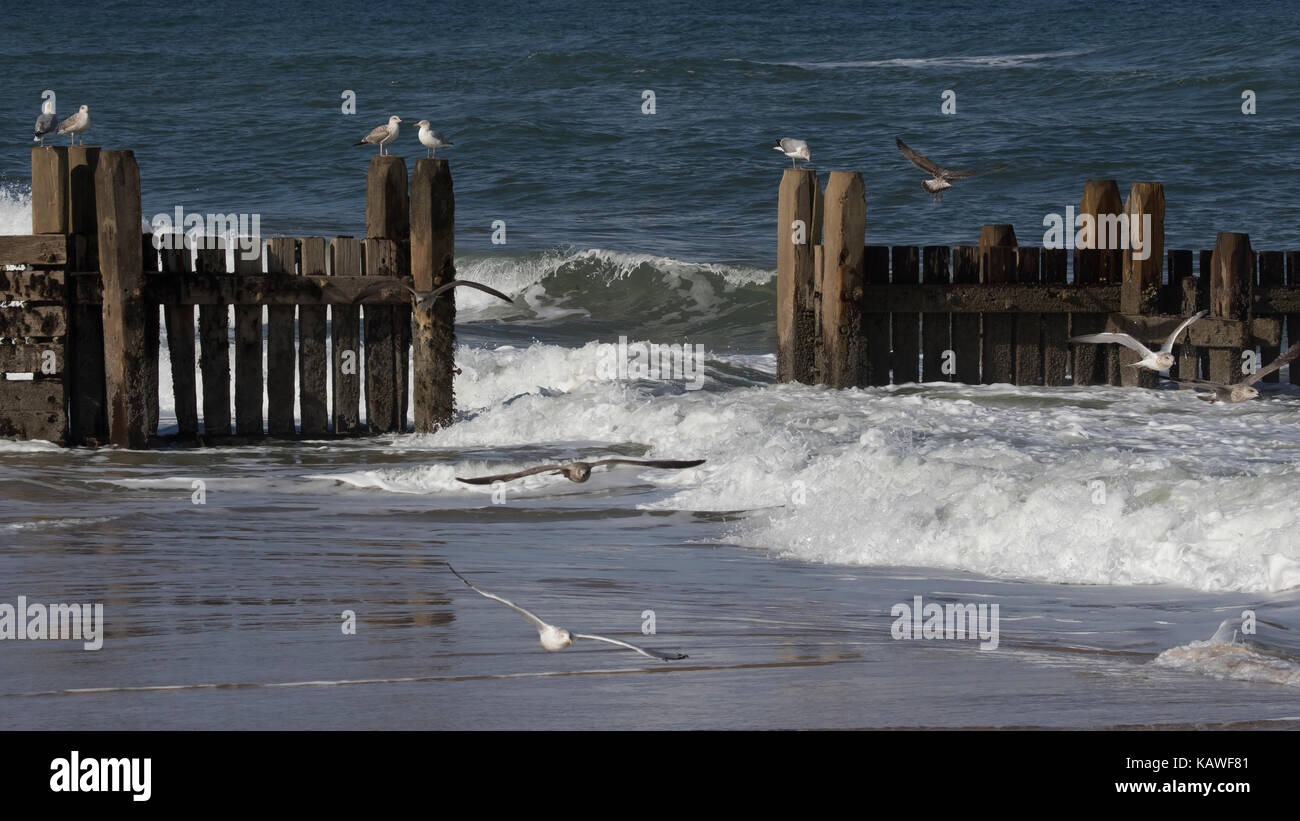 Breaking waves on the North Norfolk Coast, East Anglia.UK Stock Photo ...