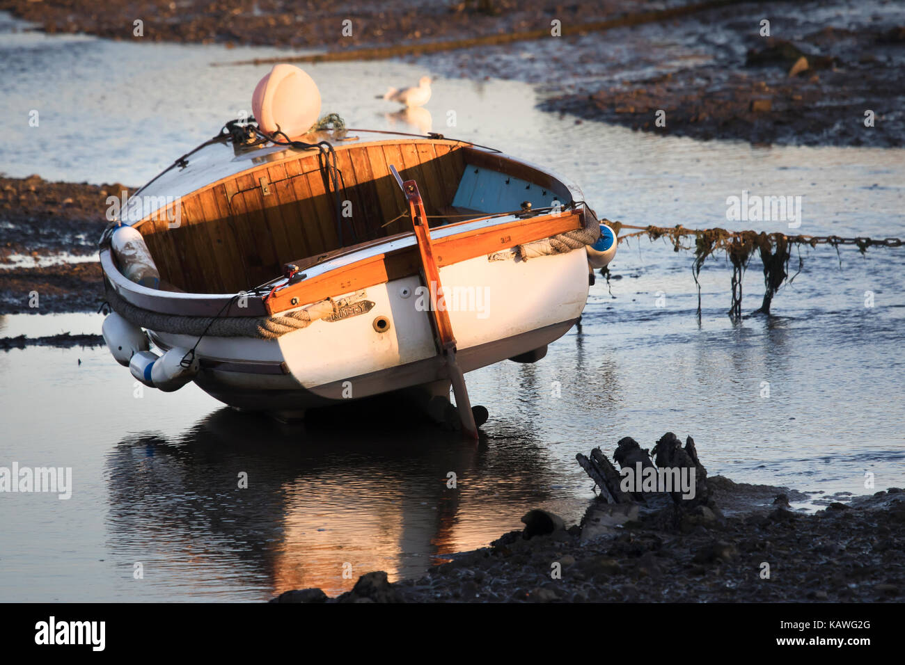 Keeled Over Stock Photos & Keeled Over Stock Images - Alamy