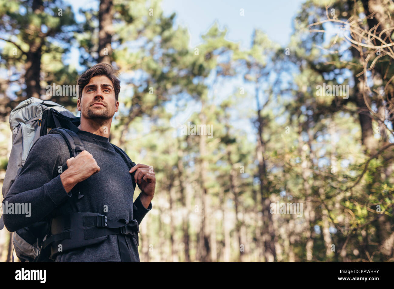 Hiker trekking in a forest putting on a backpack. Man exploring nature ...